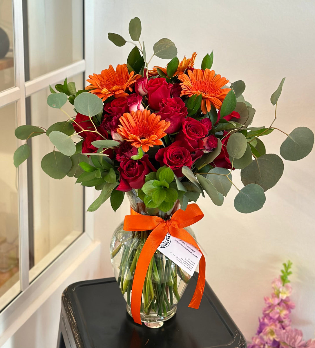 NUESTRA COLECCION – Página 3 – Bloom Store Dilafrae SRL